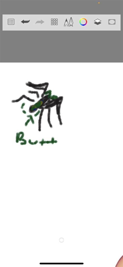 Mysterious Classroom Bug Rwhatsthisbug