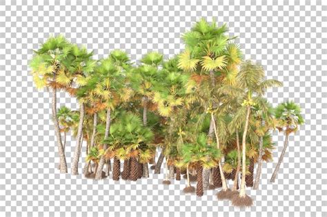 透明な背景の 3 D レンダリング図に分離された葉の島 Premium Psd
