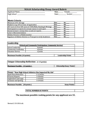 Scholarship Scoring Rubric Template Fill Online Printable Fillable
