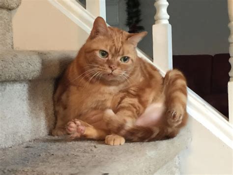 Fiona Aka Feaster Part 2 Scrolller