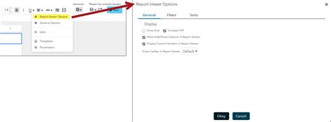 Advanced Reports Report Viewer Options
