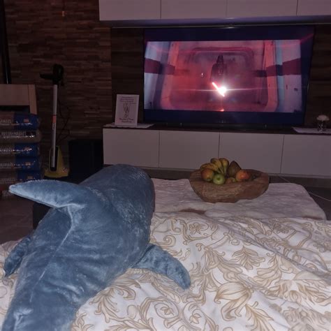 Blahaj watching Rogue one : r/BLAHAJ