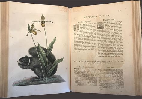 Scientific Illustration Sampling Across The Collections Georgetown University Library