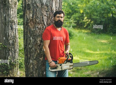 Firewood As A Renewable Energy Source Lumberjack Worker With Chainsaw