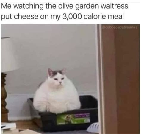 More Cheese Please