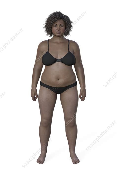 Female Endomorph Body Type Illustration Stock Image F0385675