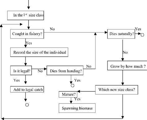 Flowchart For The Individual Based Simulator For Simulating The Sea