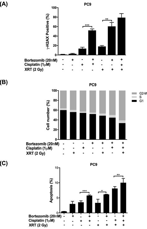 Combined Treatment With Bortezomib Cisplatin And Radiation Results In