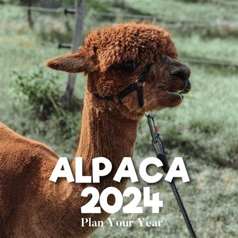 Plan Your Year Alpaca 2024 Planning Is The Key To Success Organize