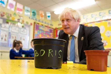 What The Latest Opinion Polls Say About The Conservatives And Boris Johnson