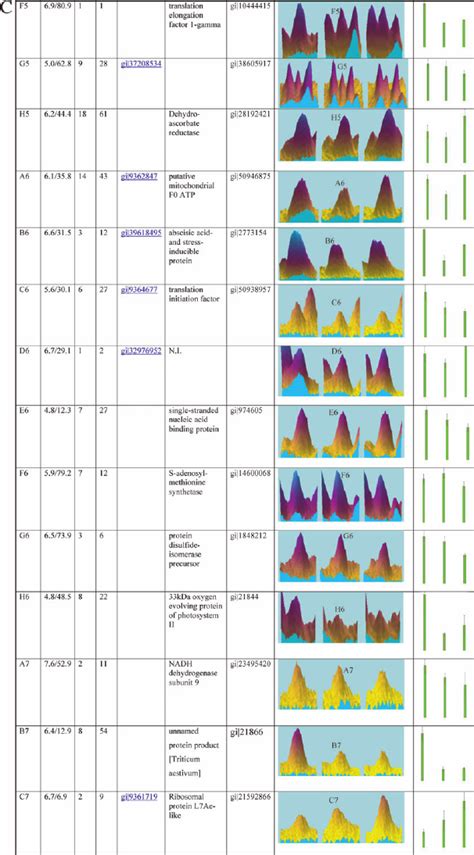 A Chart Of The Abundance And Identification Of Proteins From 2d Gels Of