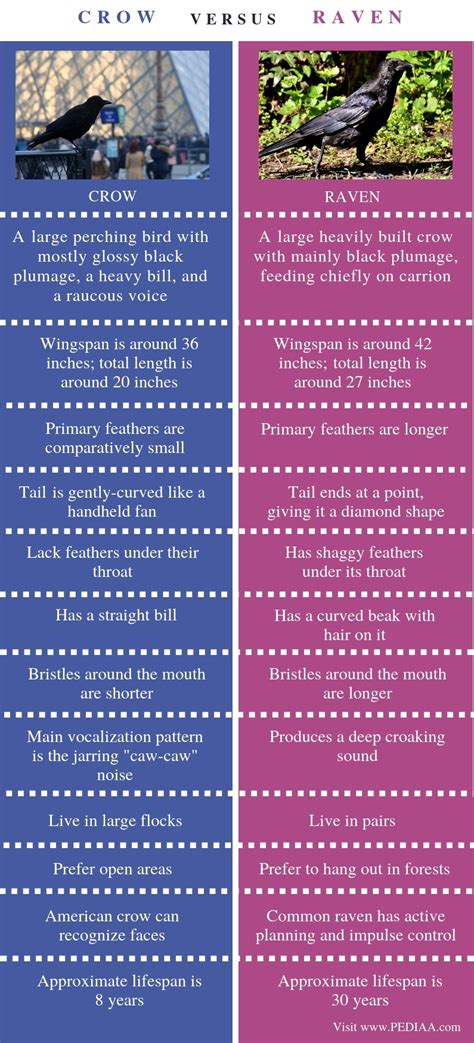 Crow And Crow Definition Of Curriculum At Armando Mendoza Blog
