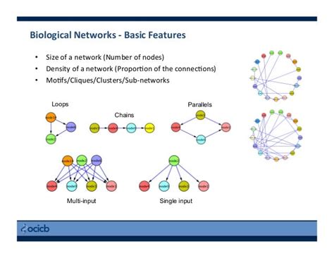 Biological Networks