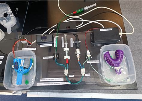 Innovative Bio Inspired Sensors And Microfluidic Devices For Saliva