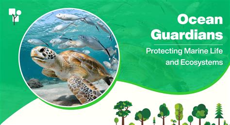 Ocean Guardians Protecting Marine Life And Ecosystems Treewards