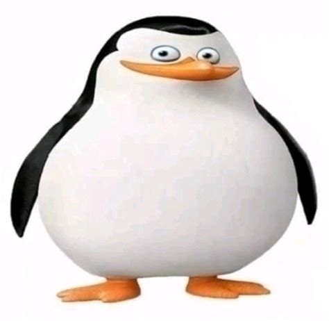 Skipper Madagascar Artofit