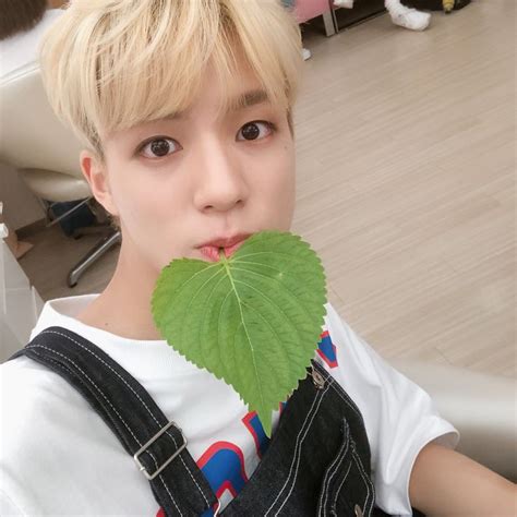 Nct Dream On Twitter Nct Nct Dream Dream
