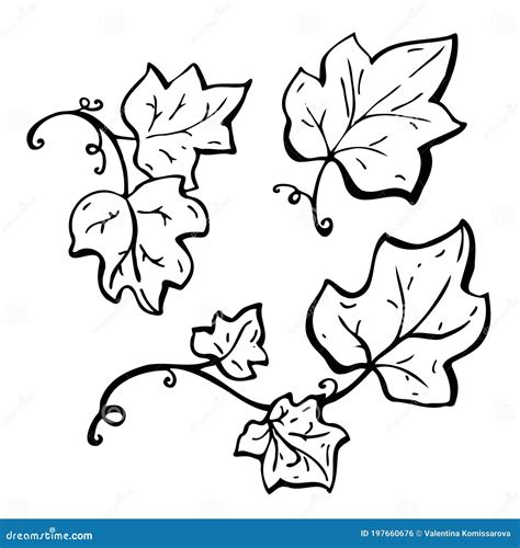 Pumpkin Leaf Pattern