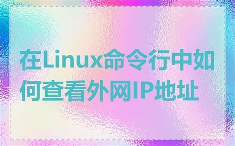 在linux命令行中如何查看外网ip地址