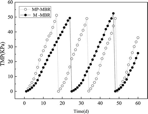 Tmp Profile For Each Mbr Download Scientific Diagram