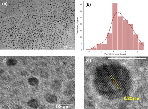 研究 N 掺杂对碳量子点结构、光学性质和金属离子筛选的影响scientific Reports X Mol