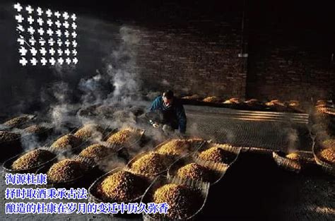 淘源杜康：白酒市场运行现状 哔哩哔哩