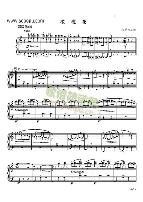 四级乐曲《橄榄花》 键盘类 手风琴 歌谱简谱网