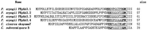 alignment of the pheromone precursor amino acid sequences the