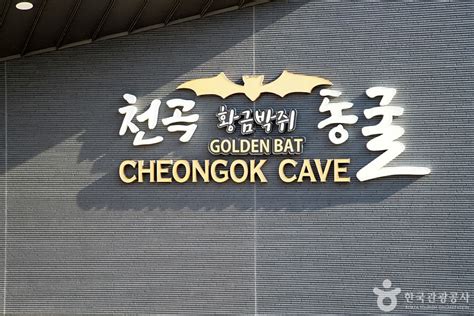 천곡천연동굴 자연학습체험공원 위기브 Wegive