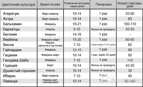 Данные о сроках посева семян цветов на рассаду Садовое цветоводство Постила