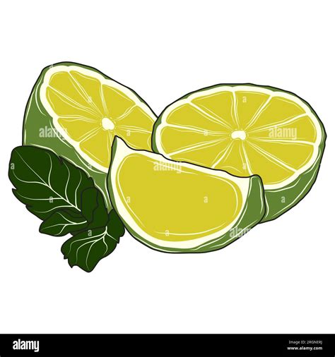 Lemon Drawing Cut Hi Res Stock Photography And Images Alamy