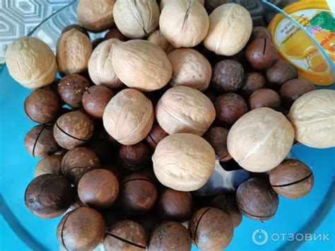 Отзыв о Орех макадамия в скорлупе Пальма Фуд Прям порадовали а цена настоящий сюрприз
