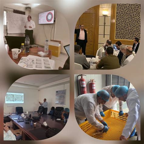 Nothing Every Drahmed El Demerdash