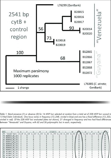 Phylogenetic Tree Generated Using Dna Sequence Data From 2 541 Base Download Scientific Diagram