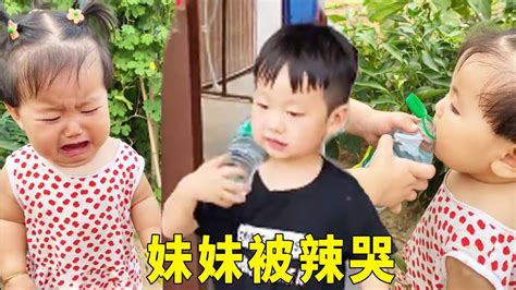 妹妹偷吃辣椒被辣哭，哥哥急忙找來水解辣，太貼心了！ 【男幼師 賈爸爸】 Youtube