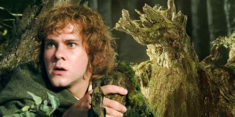 Why Treebeard Has Never Heard Of Hobbits In Lotr The Two Towers
