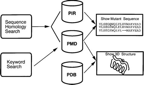 Schematic Diagram Of The Viewing And Retrieving System Of Pmd Three Download Scientific