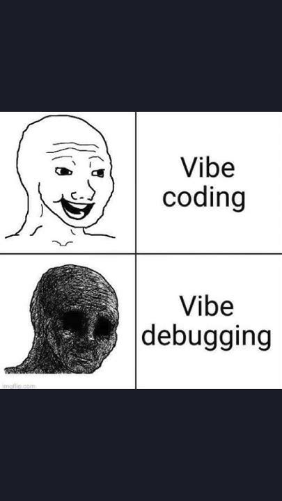 meme programación vibe coding javascript humor algoritmo memes