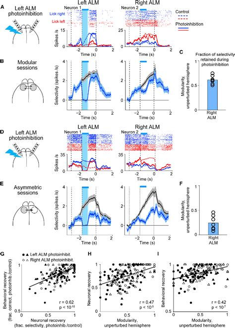 Figure 4 From Modularity And Robustness Of Frontal Cortical Networks