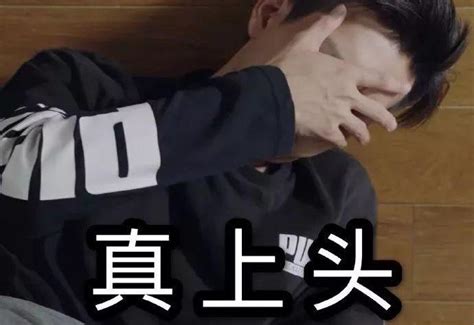 猫薄荷是什么东西？有什么作用？对猫有危害么？ 知乎