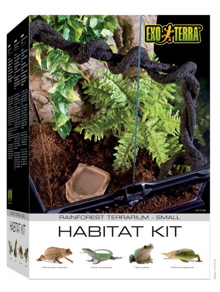 Best Terrarium Kits For Tree Frogs FrogPets