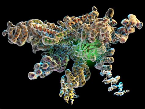 Phage Wallpapers Wallpaper Cave