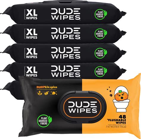 Dude Wipes Flushable Wipes 6 Pack 288 Wipes Dumpkin Spice With Clove Nutmeg