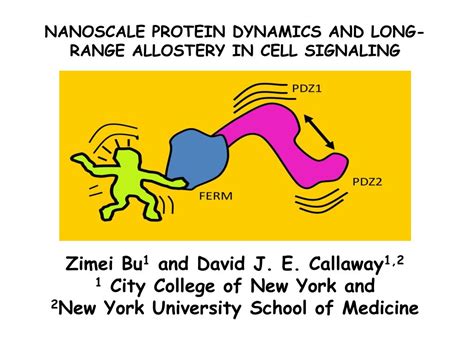 Ppt Nanoscale Protein Dynamics And Long Range Allostery In Cell