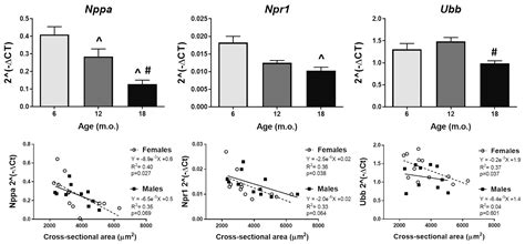 Age And Sex Dependent Differences In Extracellular Matrix Metabolism