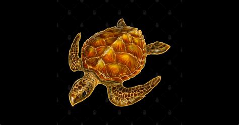 Hawksbill Sea Turtle Seaturtle Sticker Teepublic