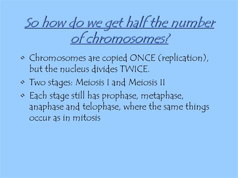 Meiosis Ppt Download