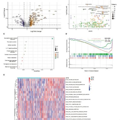 Functional Enrichment Analysis Between Risk Types A Volcano Plot Of