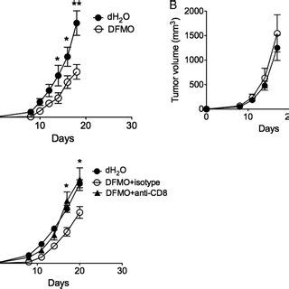 Dfmo Adminstration Enhances Tumor Infiltrating T Cell Immunity A