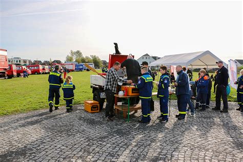 Hochmotivierter Nachwuchs Potsdamer